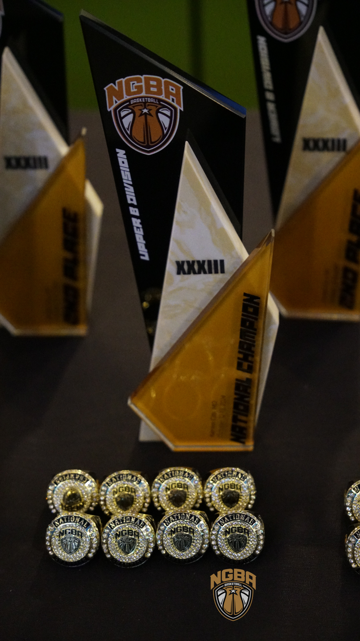 NGBA Celebrates 35 Years of Championships and Family in Chicago ...